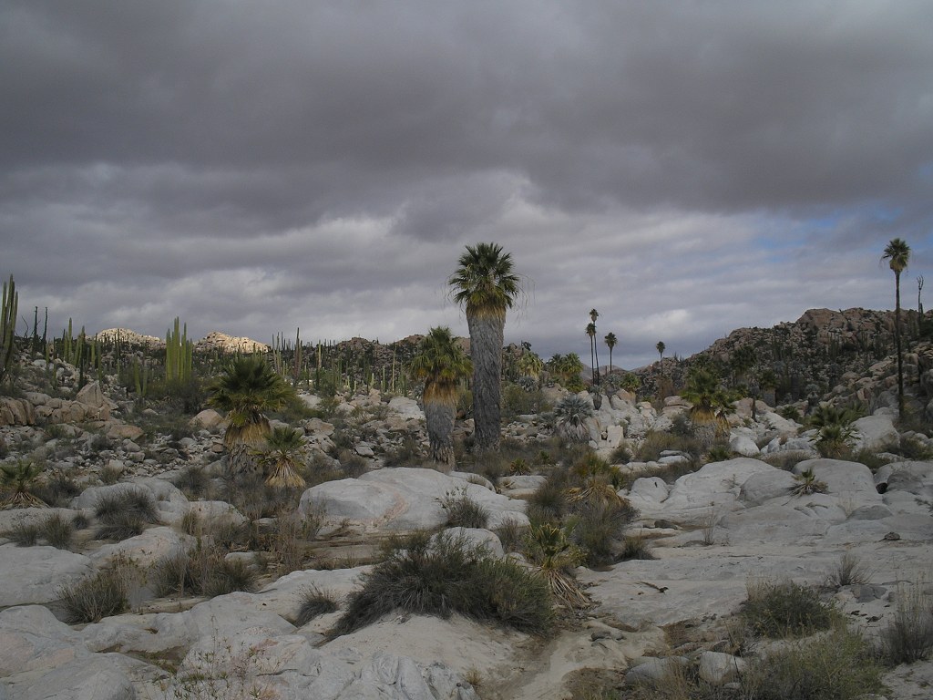 Index of /photos/Mexico 2007-12/