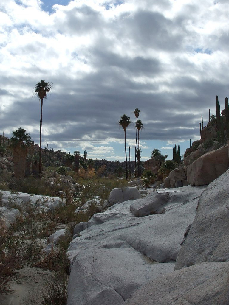 Index of /photos/Mexico 2007-12/